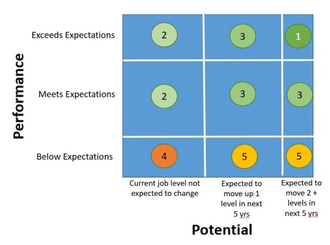 How to do a talent audit – The Rethink Shelf